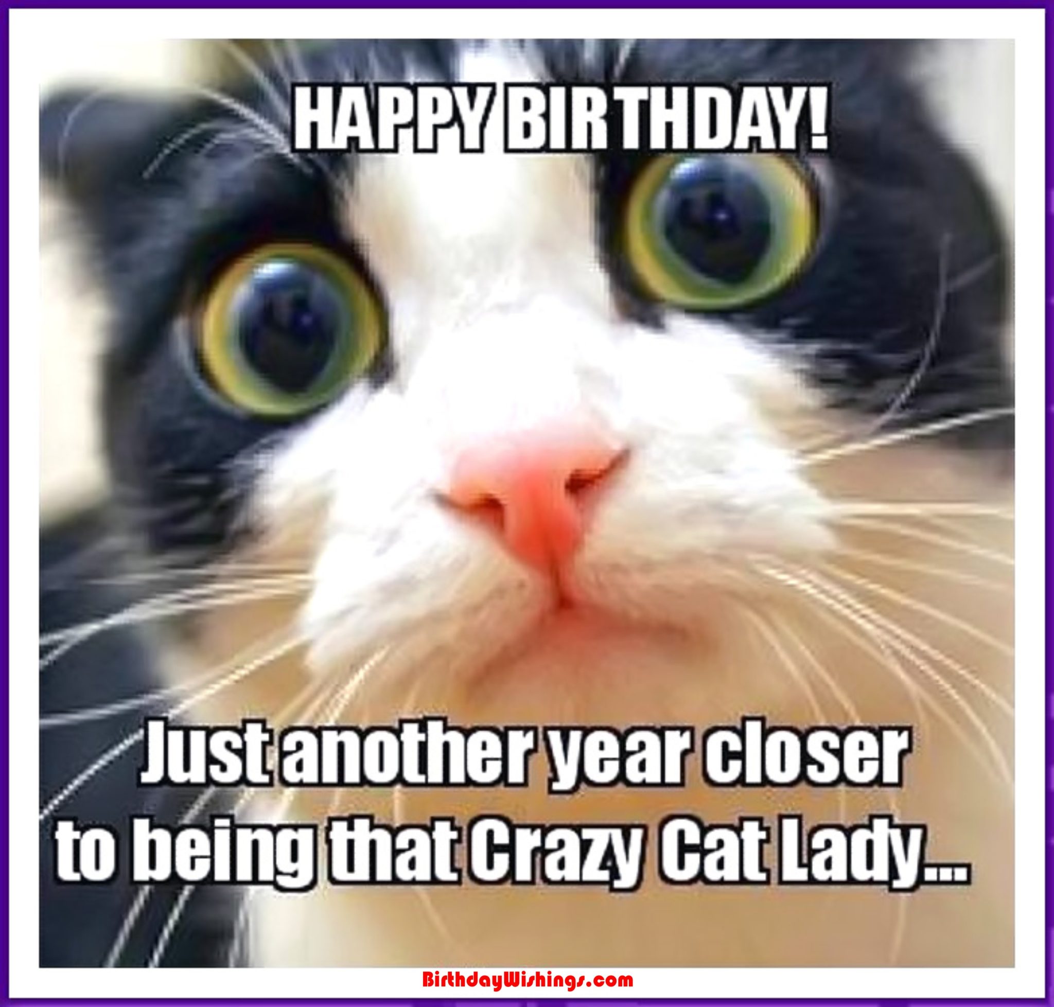 Happy Birthday Cat Images Funny Printable Template Calendar Happy Birthday Cat Images Funny Printable Template Calendar