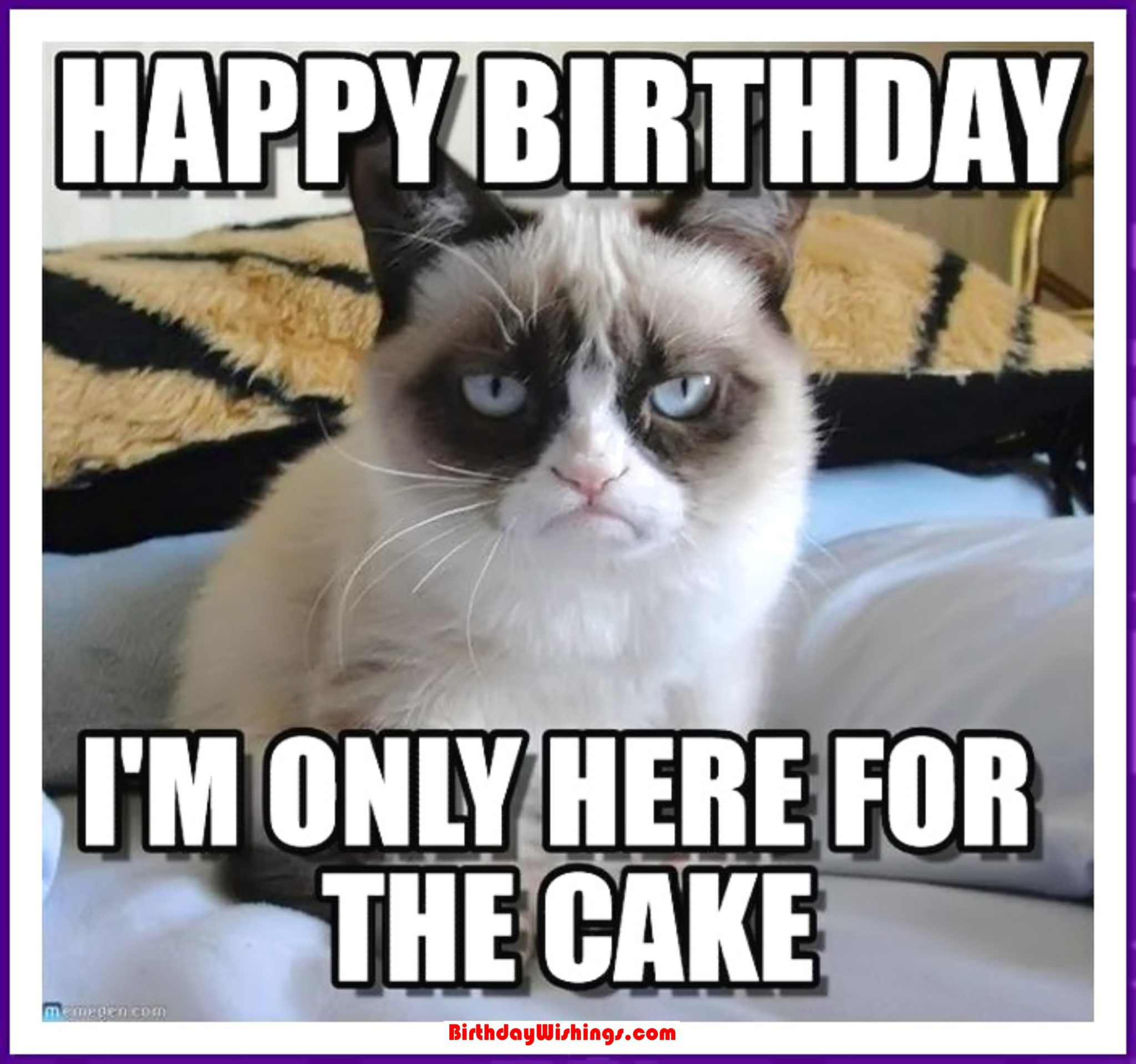 Funny Happy Birthday Memes With Cats Dogs Funny Animals
