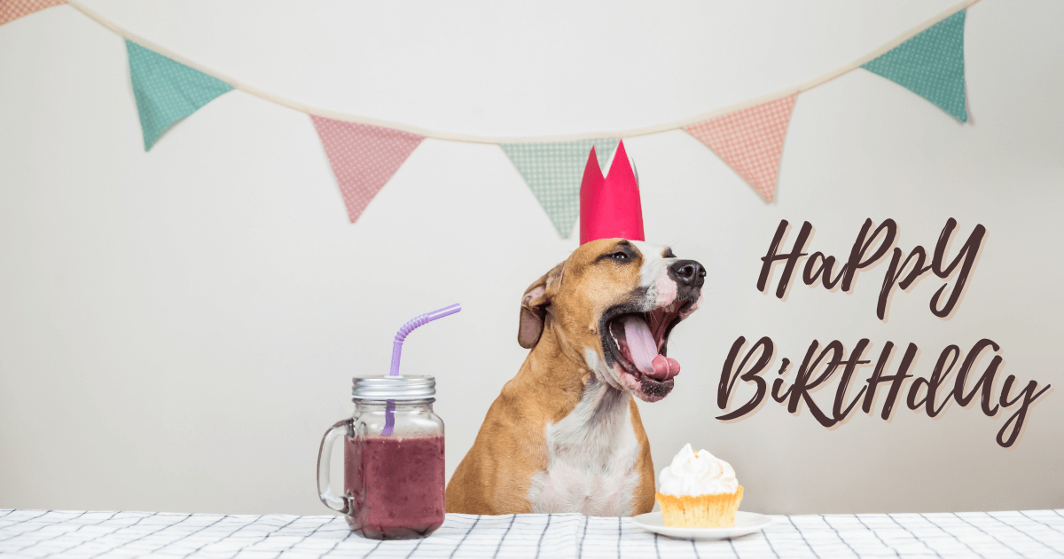 Top Funny Birthday Memes - BirthdayWishings.com