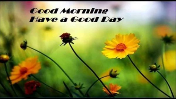Inspirational Good Morning Messages for Colleagues