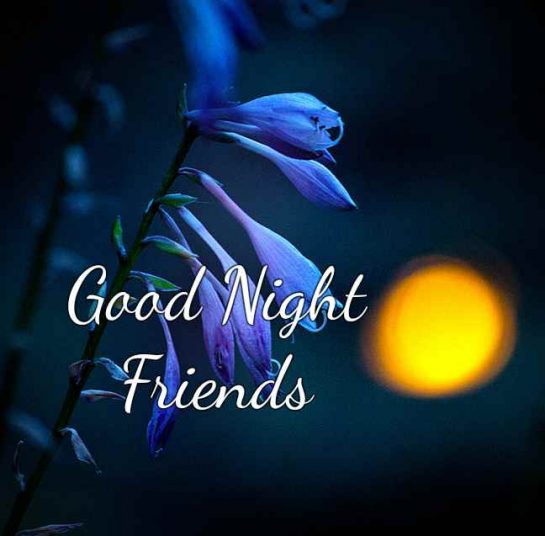 Inspirational Good Night Messages with Images